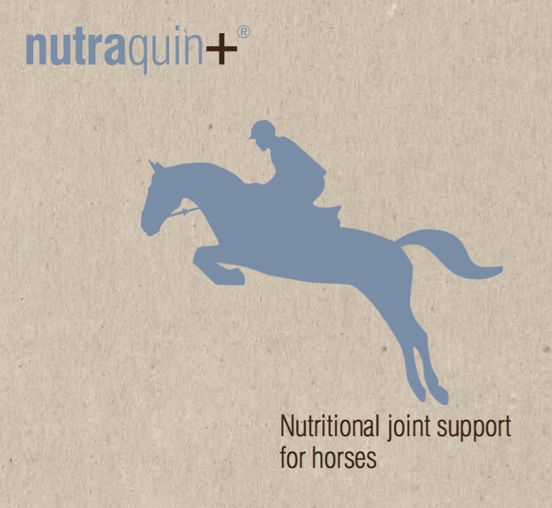 nutraquin plus horses – Farr & Pursey Equine