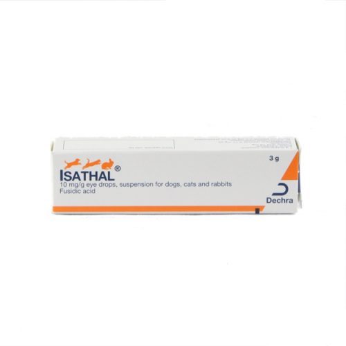 Isathal – Farr & Pursey Equine