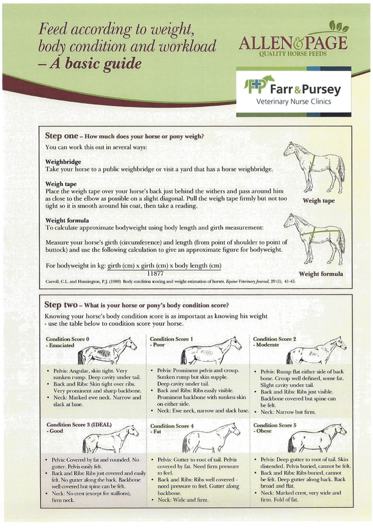 BCS chart – Farr & Pursey Equine